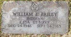 Remembering CTSA William E. Briley, USN, Killed in the NSGA Kami Seya ...
